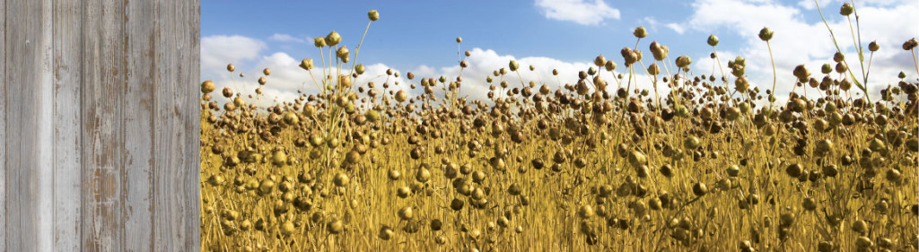 Milled Flaxseed Products - Manitoba Flax Seed Milling Company (US)