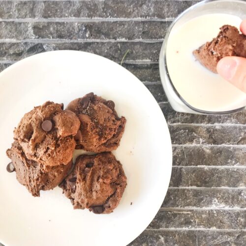 Double Chocolate Mint Cookies - Manitoba Flax